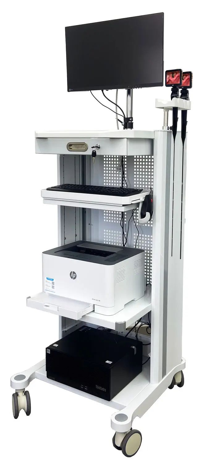 Endoscopic Cart Solutions for Medical Facilities