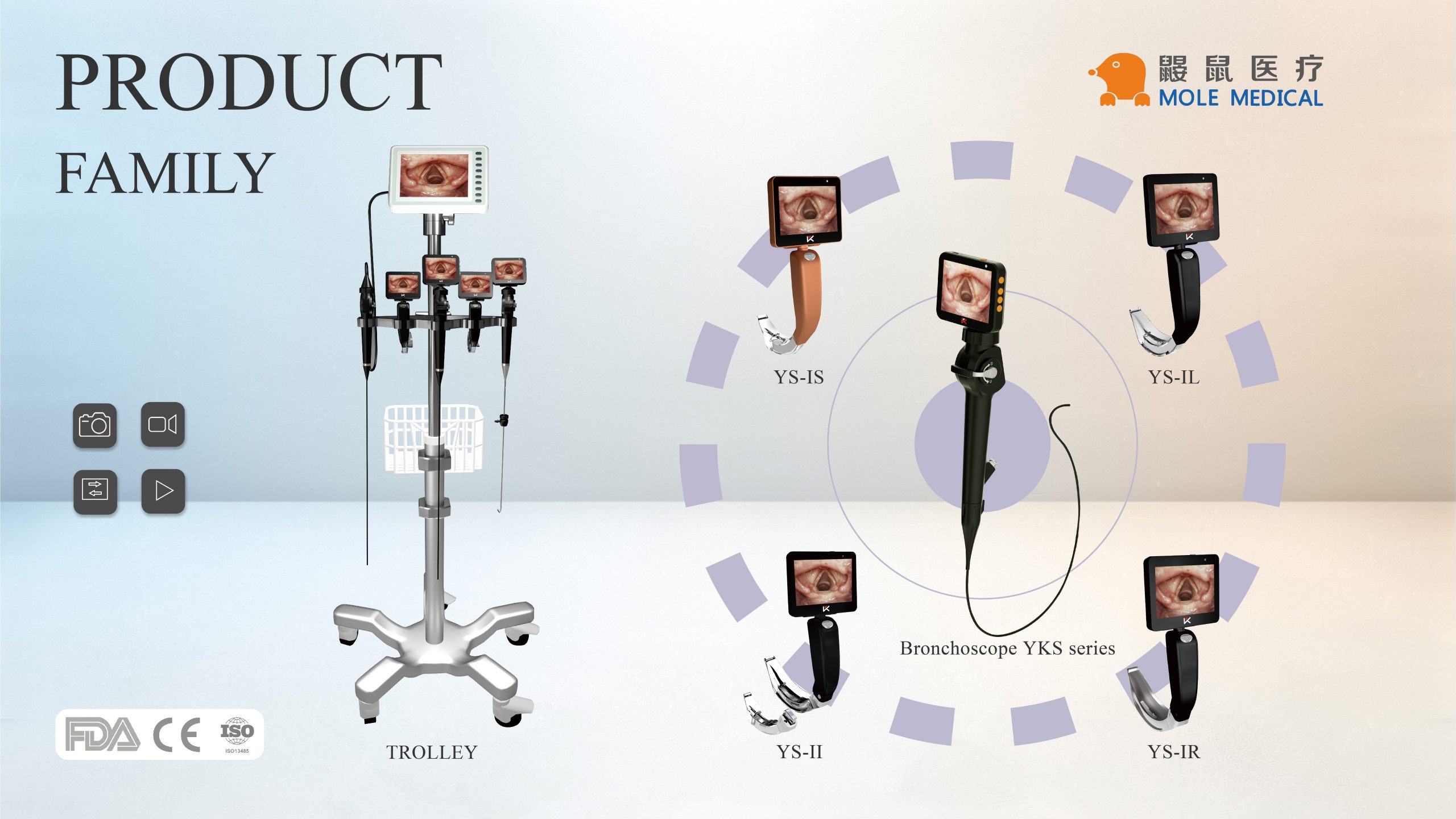 Carro de endoscopia médica premium para clínicas - laringoscopiomole