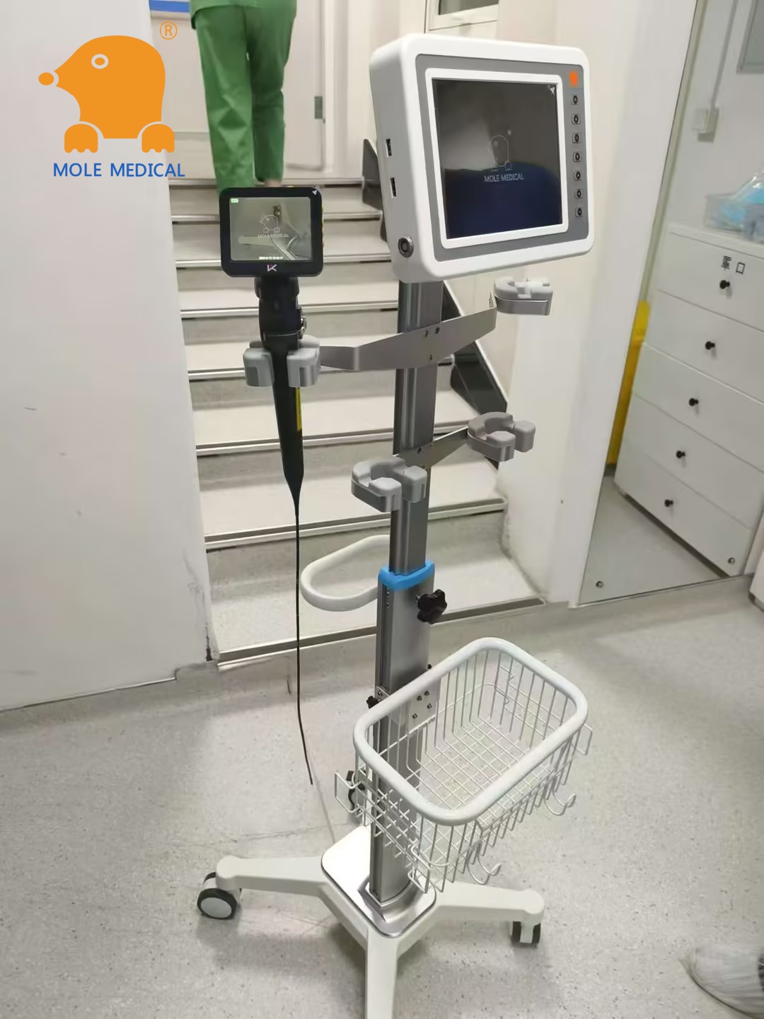 Emergency department essential: Mole medical portable video ...