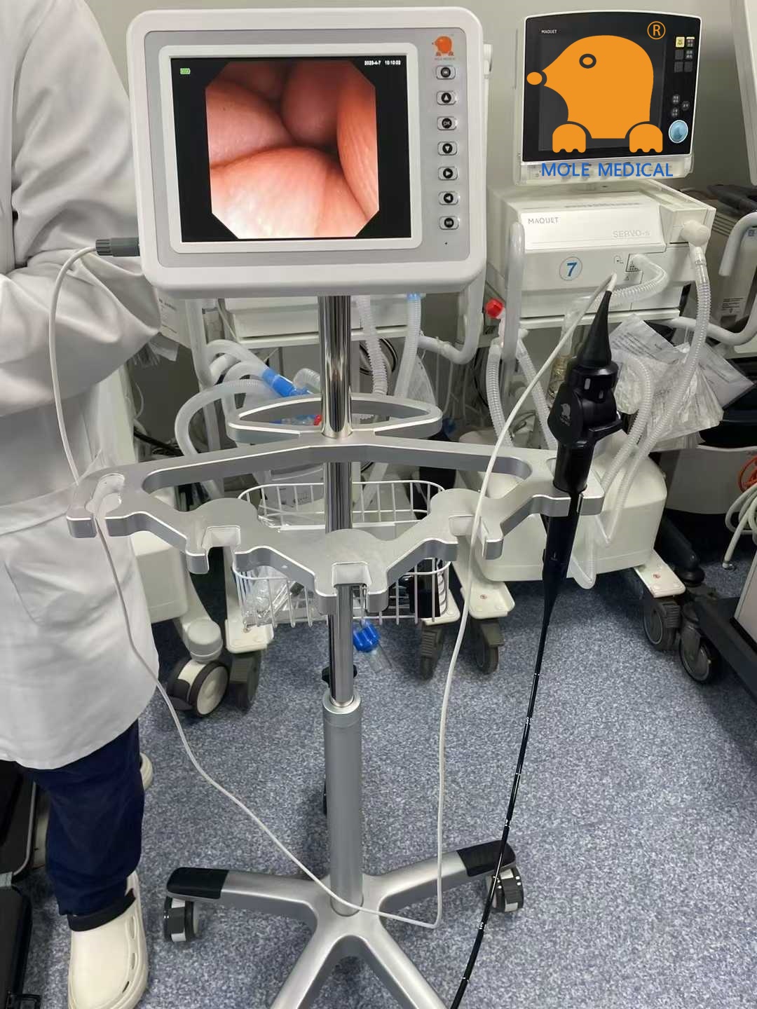 Clinical comparison of foreign body removal procedures using rigid ...