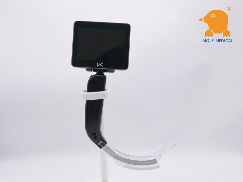 Understanding Intubation Pictures: A Visual Guide - laryngoscopemole